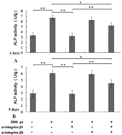 Integrin β1 Not Integrin β5 Mediates Osteoblastic Differentiation And Ecm Formation Promoted