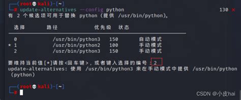 Linux中同时安装多个python版本，进行版本切换liux同时安装python385和python3810指定版本运行 Csdn博客