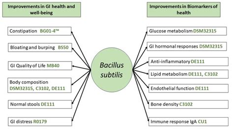 Fermentation Free Full Text Spore Based Probiotic Bacillus Subtilis Current Applications In