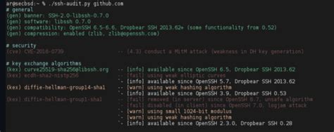Ssh Audit On Offsectools