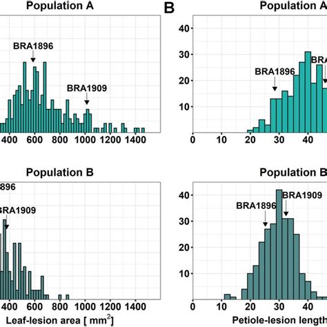 lesion size distributions in two f2 mapping populations from a cross