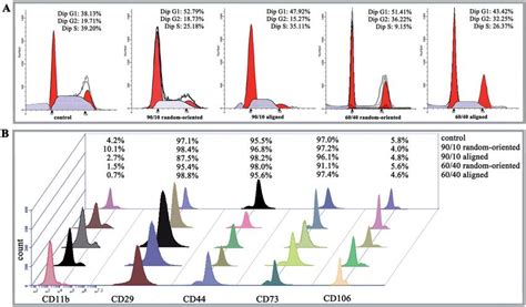 Cell Cycle Distribution And Surface Epitope Expression Of O Ascs