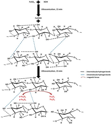 In Situ And Partial In Situ Synthesis Of Cellulose Magnetitemaghemite Composites