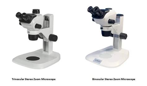 Binocular Vs Trinocular Microscope What Are The Differences Scopelab