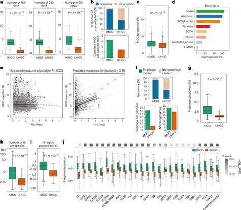 Enhanced Genomic Resolution Of Genetic Elements In Imgg The Genomic Download Scientific Diagram