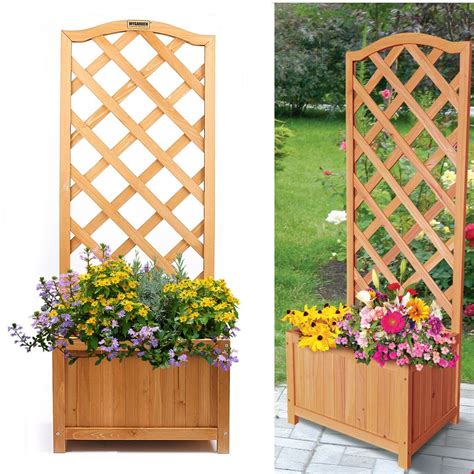 Lattice Trellis Fmbezy