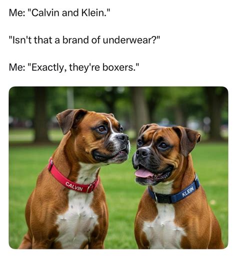 Kien Memes Joost Klein Mikt Op Podium Songfestival Vol Op De Lach