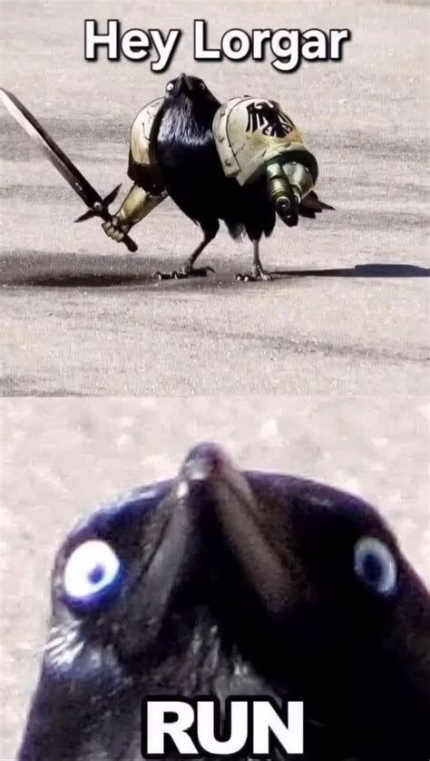 Wh Humor Corvus Corax Wh Other Primarchs Warhammer 40000
