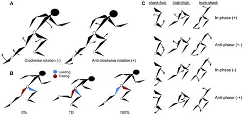 Inter And Intra Limb Coordination During Initial Sprint Acceleration