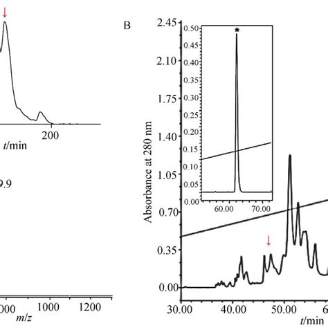 Purification Of Mektt 1 From Venom Of The Scorpion Mesobuthus Eupeus