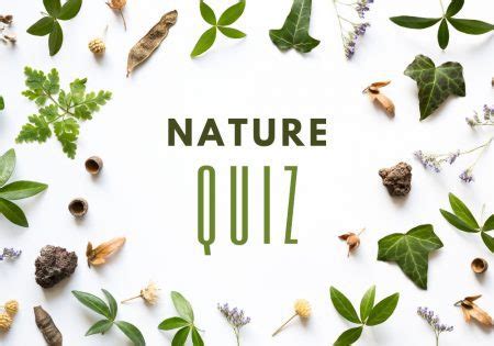 Nature Quiz Questions Answers
