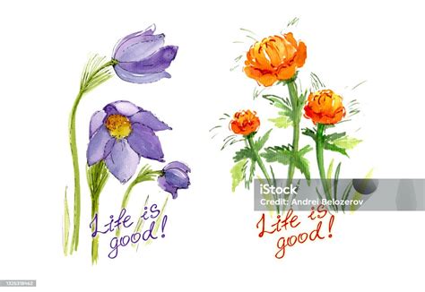 수채화 패턴 웨딩 초대장 또는 흰색 배경에 텍스트 분기 보라색 스노우 드롭과 오렌지 미나리 꽃과 인사말 카드 축하 포장이 있는 분리된 꽃 요소 0명에 대한 스톡 벡터 아트