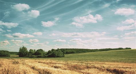 Beyond Distilling Craft Gin And Vodka Distillery Busselton Wa