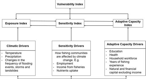schematic representation of the vulnerability conceptual download