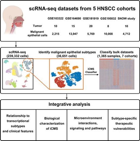 Integrative Single Cell And Bulk Transcriptomes Analyses Identify Intrinsic Hnscc Subtypes With