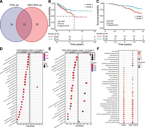 The Cgas Sting Pathway Related Gene Signature Can Predict Pa Medicine