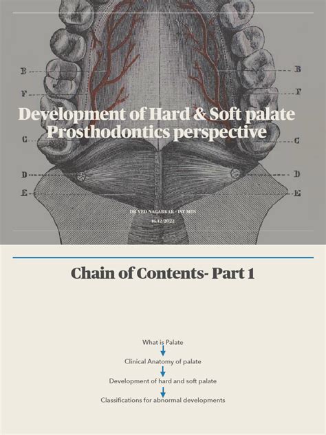 Development Of Palate Pdf