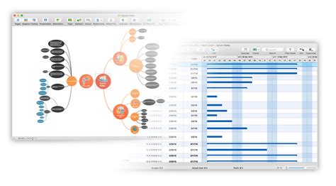 ConceptDraw MindMap Mindmapping