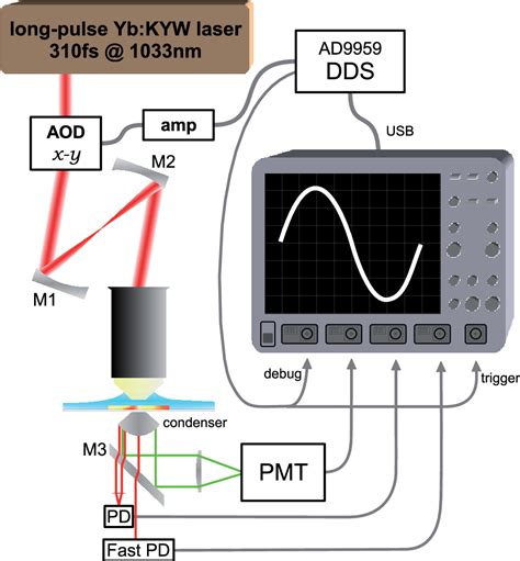 Figure 1 From A Compact Multiphoton 3d Imaging System For Recording
