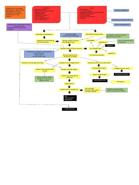 Hypothyroidism Pdf Hypothyroidism Thyroid