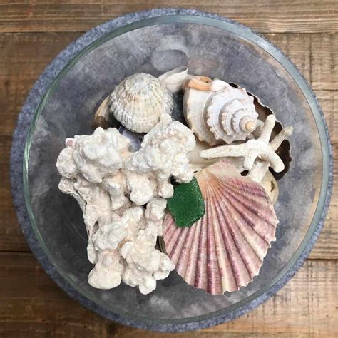 14 Seashell Décor Ideas To Lull You To Your Coastal Dream