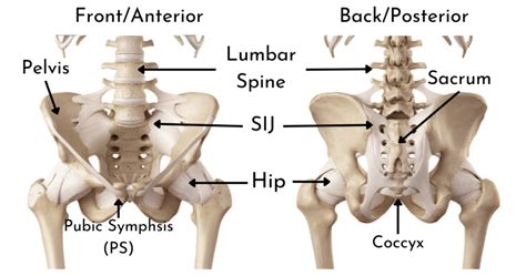 Understanding Hypermobile Hip Causes And Treatment