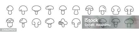 얇은 아이콘의 버섯 모음입니다 편집 가능한 스트로크 웹 사이트 책 카드 앱에 적합 Boletus에 대한 스톡 벡터 아트 및 기타 이미지 Boletus 가을 건강한