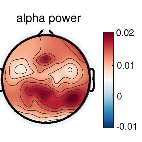 Topography Plots Showing The Mean Eeg Activity Across All Subjects From