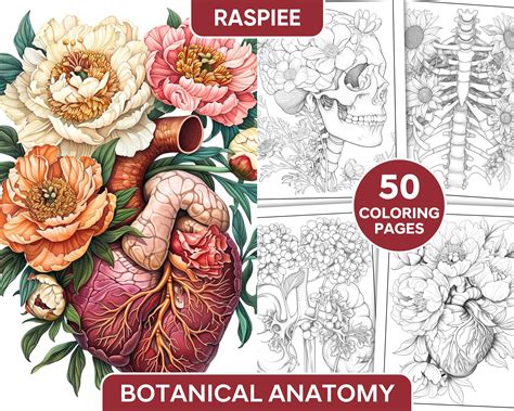50 Botanical Anatomy Adult Coloring Pages Printable Pdf Instant Downlo