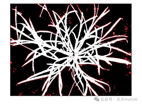 【杂草检测】基于机器视觉的杂草检测系统附matlab代码 Csdn博客