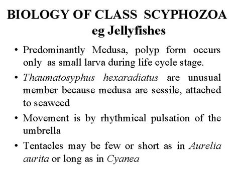 The Radiate Animals Phylum Cnidaria Classes Hydrozoa Scyphozoa The Radiate Animals Phylum Cnidaria Classes Hydrozoa Scyphozoa