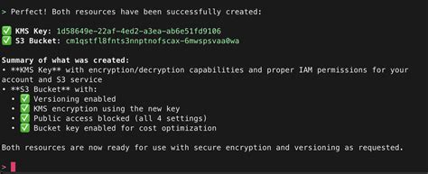 Introducing Aws Cloud Control Api Mcp Server Natural Language Infrastructure Management On Aws