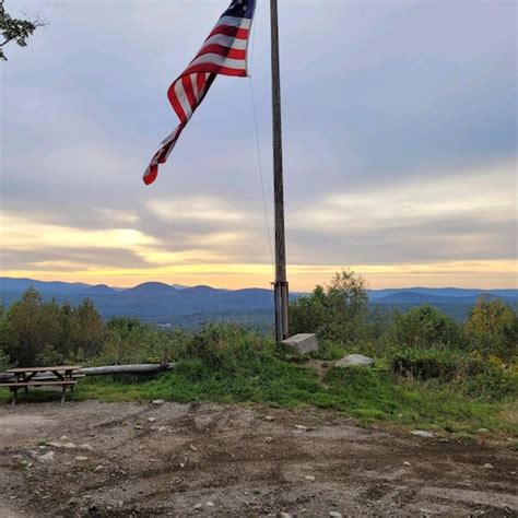 Geneeric On Gettr Profile And Posts On Gettr