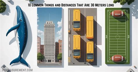 10 Common Things And Distances That Are 30 Meters Long