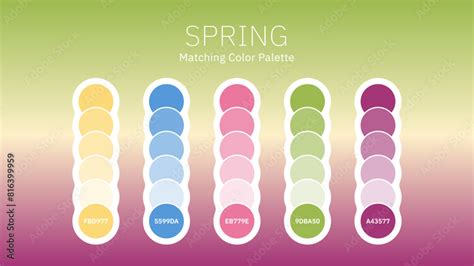 Set Of Spring Color Palette Combination In Rgb Hex Matching Color