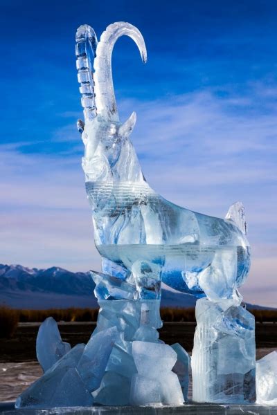 Олон угсаатны соёлын өвийг таниулах зорилготой “Мөнгөлөг шагшуурга