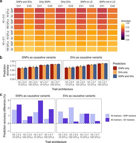 Genomic Prediction Accuracy Of Different Marker Types Snps And Svs Download Scientific