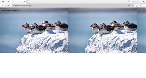 CSS Background Repeat