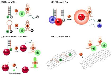 Chemosensors Mdpi On Linkedin Review Openaccess Fluorogenic