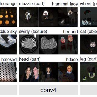 Patterns Identified By Some Units Of A CNN Top Left And Human Download Scientific Diagram