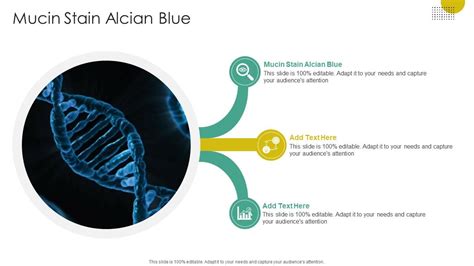 Mucin Stain Alcian Blue In Ppt Powerpoint Presentation Slide Templates Cpp Ppt Example