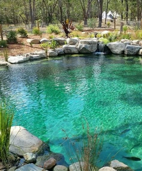 Small Natural Pool Natural Swimming Pool Ideas Swimminng Pool In The