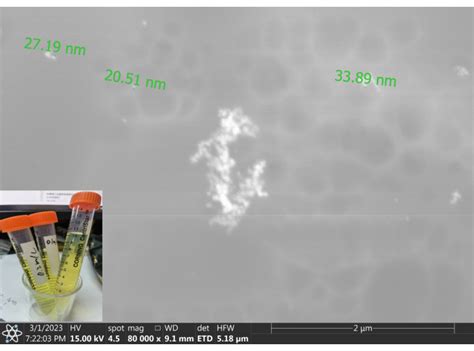 Development And Application Of Sers Flexible Substrates Using