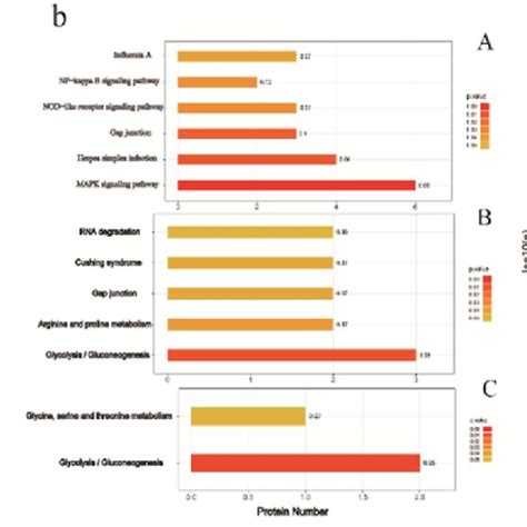 Protein Analysis Results A Cluster Analysis Plot Of Differentially Download Scientific