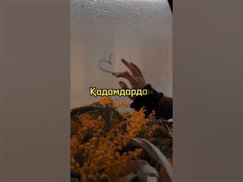 Аз-аздан үздіксіз - YouTube
