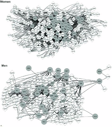 Socio Ecological Networks Among Women And Men Illustrating The