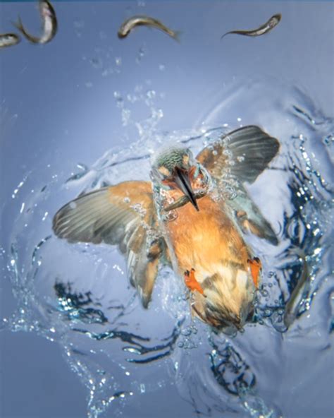 Fahad Al Enezi Kuwait Profifoto