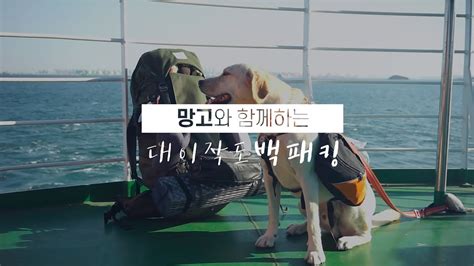 대형견과 함께하는 섬 백패킹 🏝 인생견생 백패킹 첫 경험 대이작도 1탄 Youtube