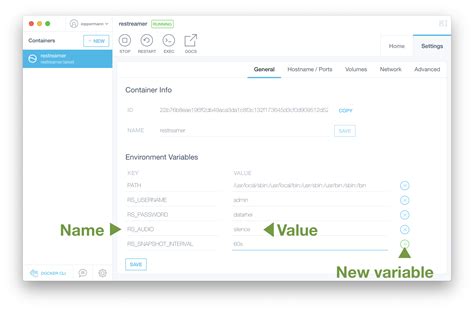 Environment Variables Restreamer