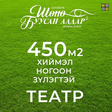 Монголын хамгийн анхны хиймэл НОГООН зүлэгтэй театр